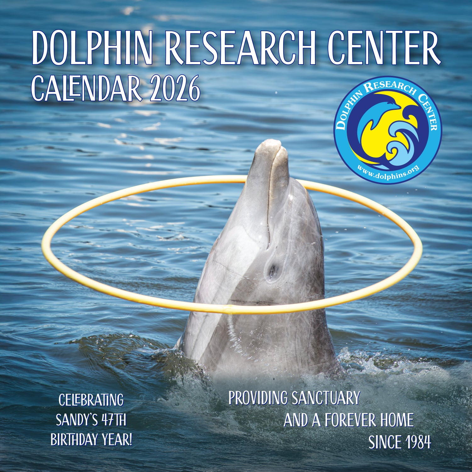 dolphin information centre